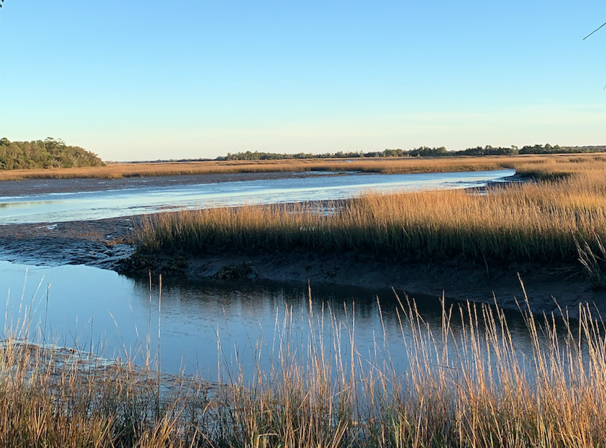 President's Log: January 26, 2021 - Lowcountry Land Trust
