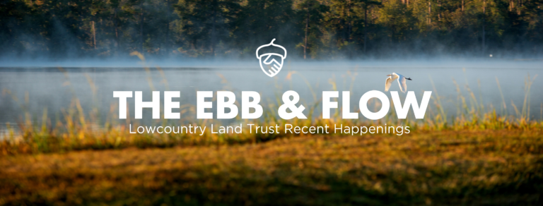 Latest Blog Posts From Lowcountry Land Trust